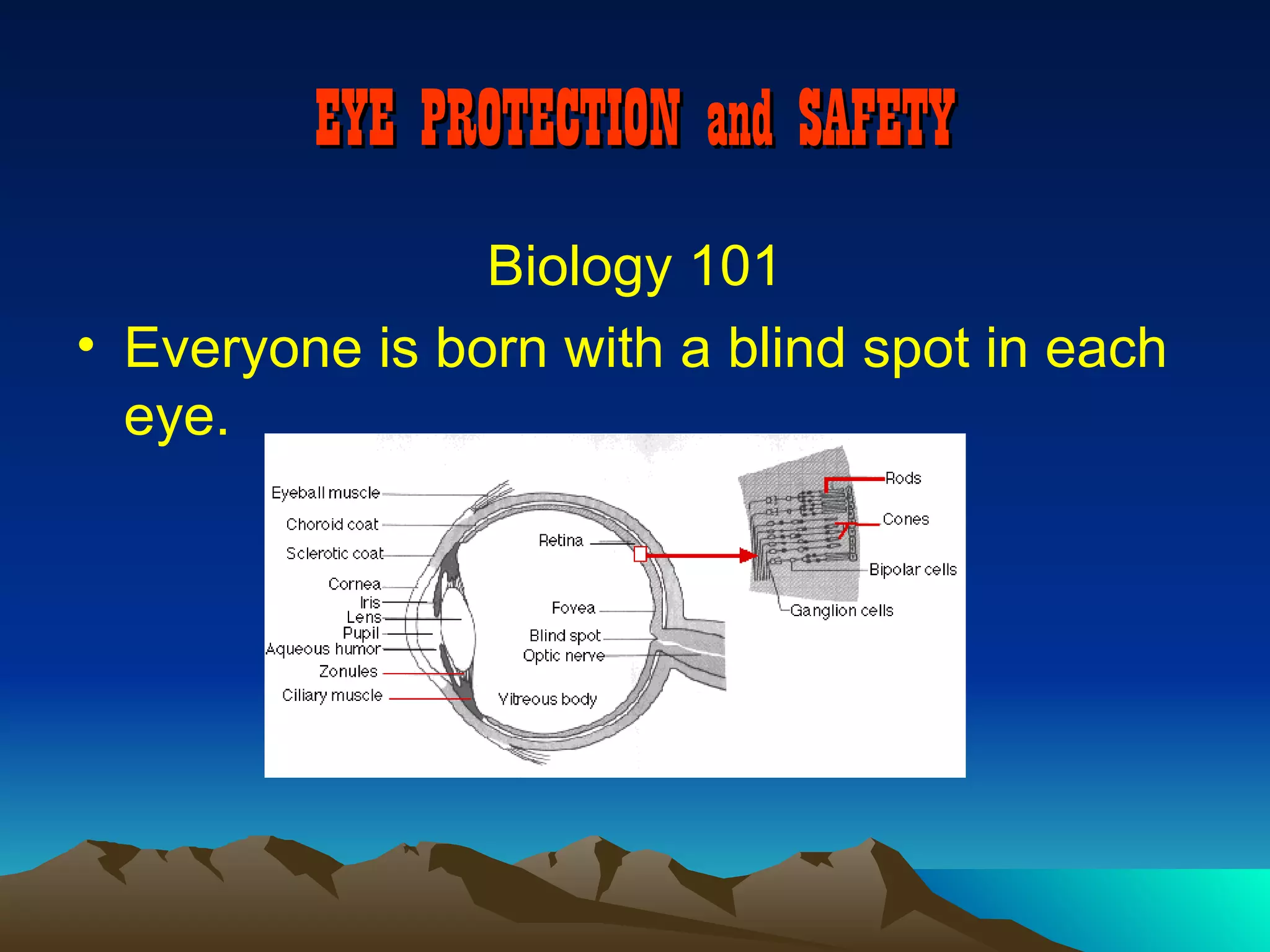 Eye safety presentation | PPT