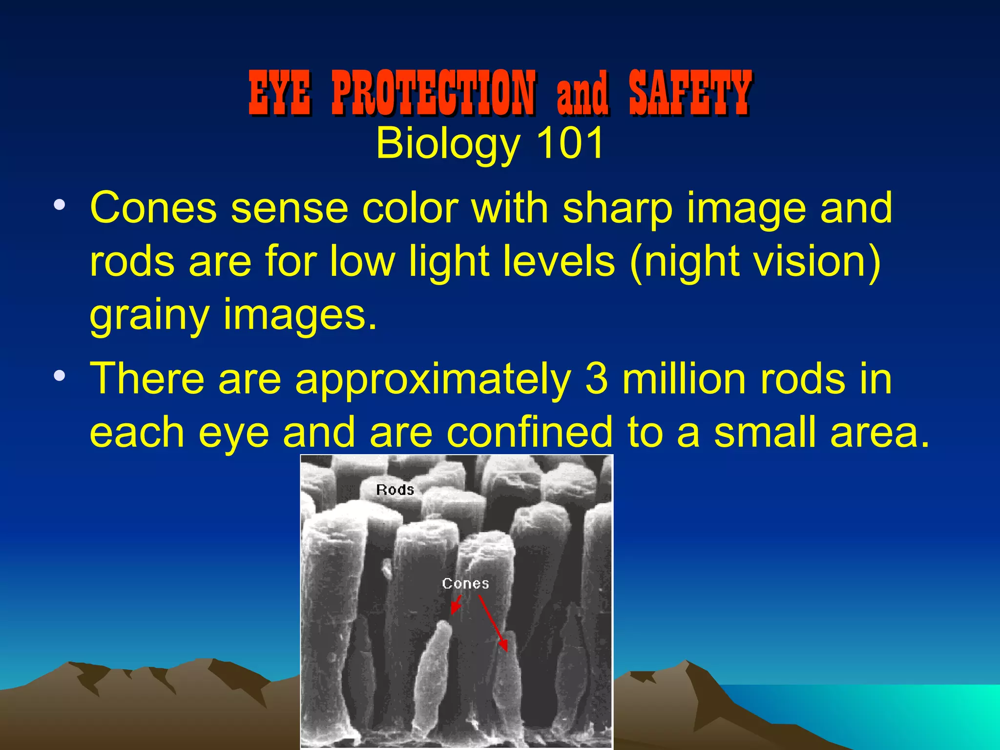 Eye safety presentation | PPT