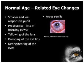 Eye see you | PPTX