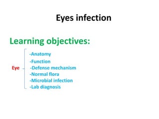 Eyes infection | PPT