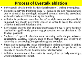 Eyestalk ablation in commercially Imp Crustaceans Decapods.pptx