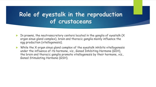 Eye Stalk Ablation in Crustaceans | PPTX | Eye and Vision Conditions ...