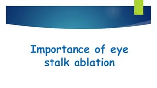 Eye Stalk Ablation in Crustaceans | PPTX