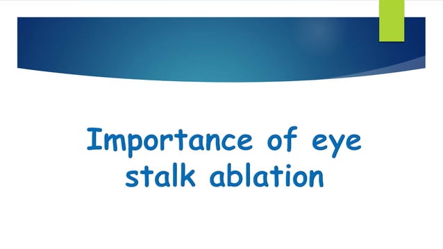 Eye Stalk Ablation in Crustaceans | PPTX | Eye and Vision Conditions ...