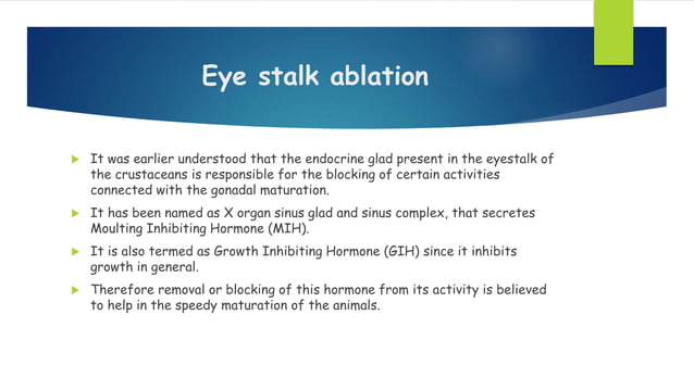 Eye Stalk Ablation in Crustaceans | PPTX | Eye and Vision Conditions ...
