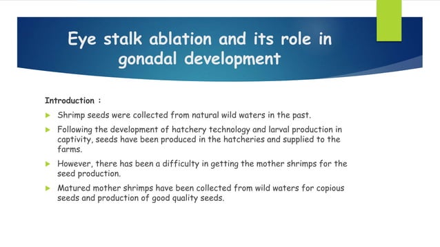 Eye Stalk Ablation in Crustaceans | PPTX | Eye and Vision Conditions ...