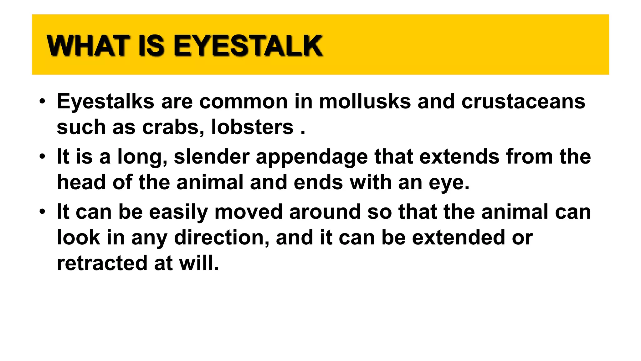 Eyestalk ablation technique | PPTX