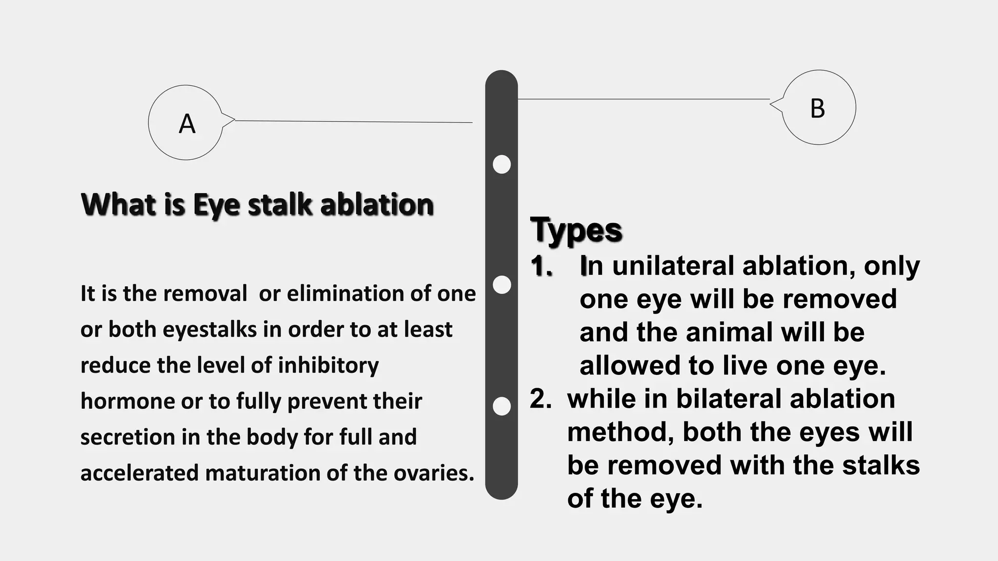 Eyestalk ablation technique | PPTX