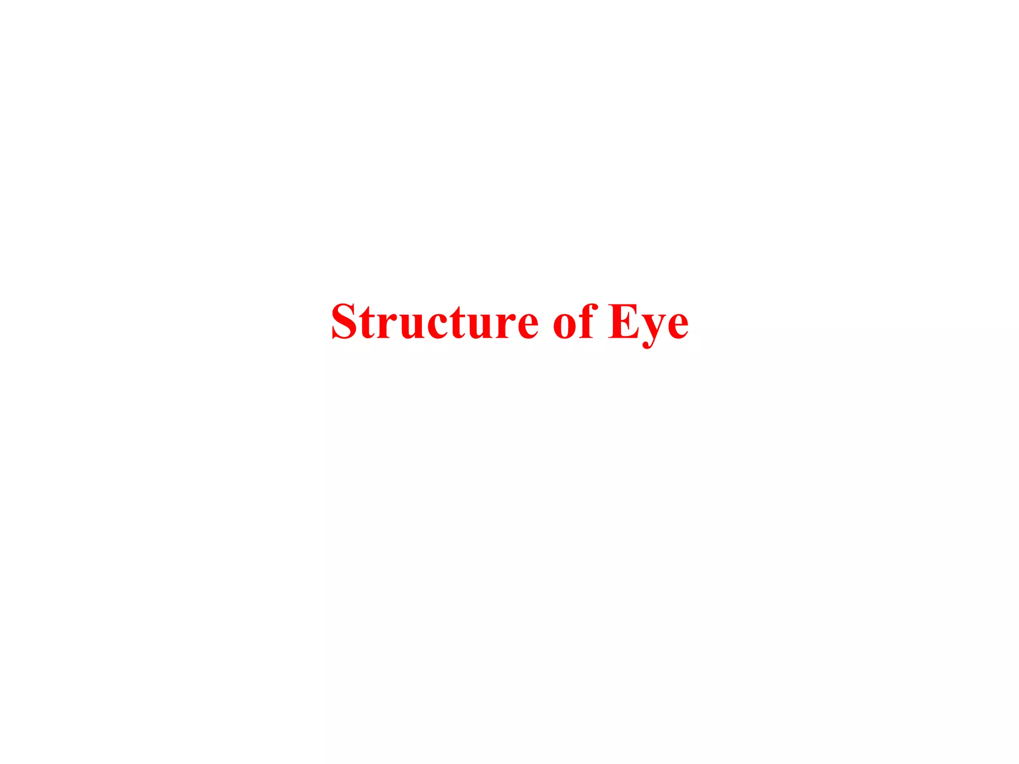 Eye structure.pptx