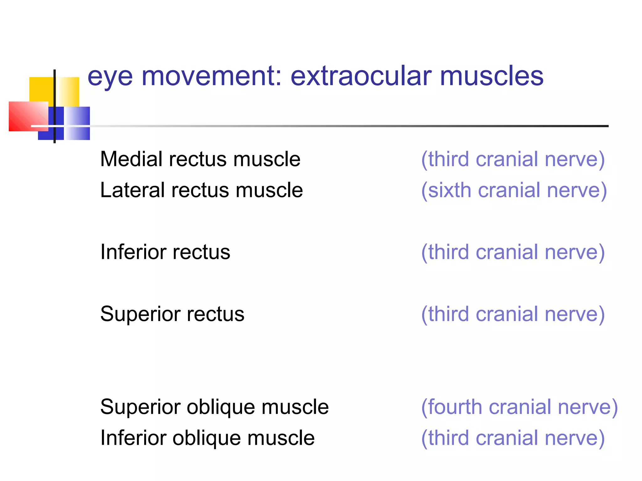Eye structure and function | PPT