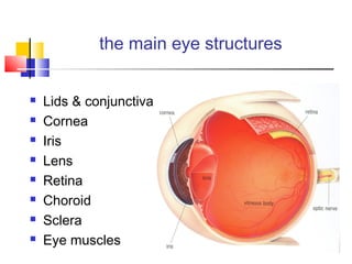 Eye structure and function | PPT