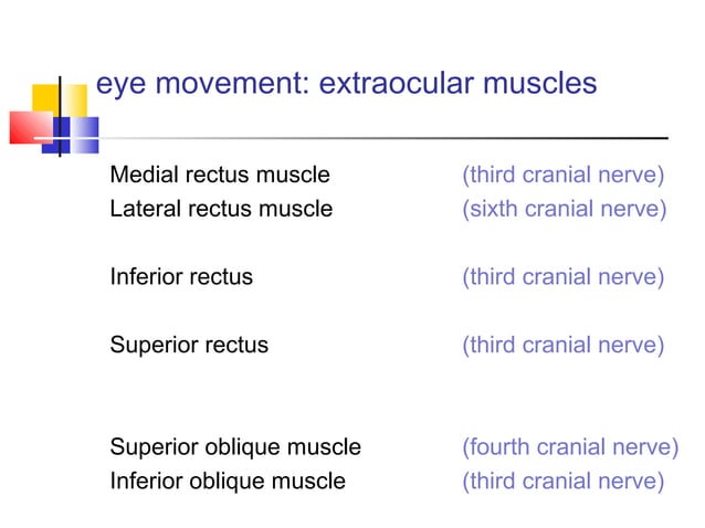 Eye structure and function | PPT