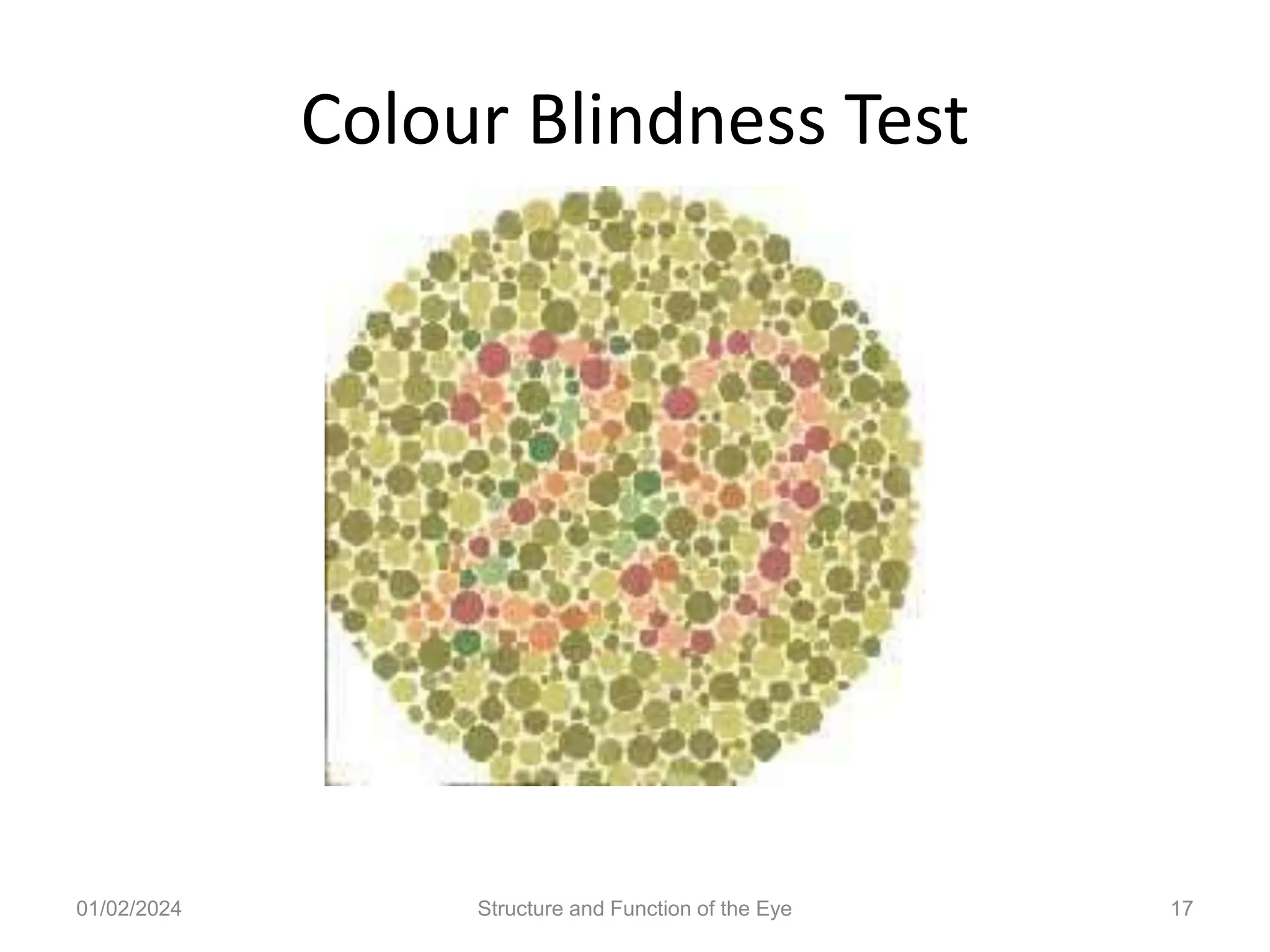 eye_structure_and_function_science__8.ppt