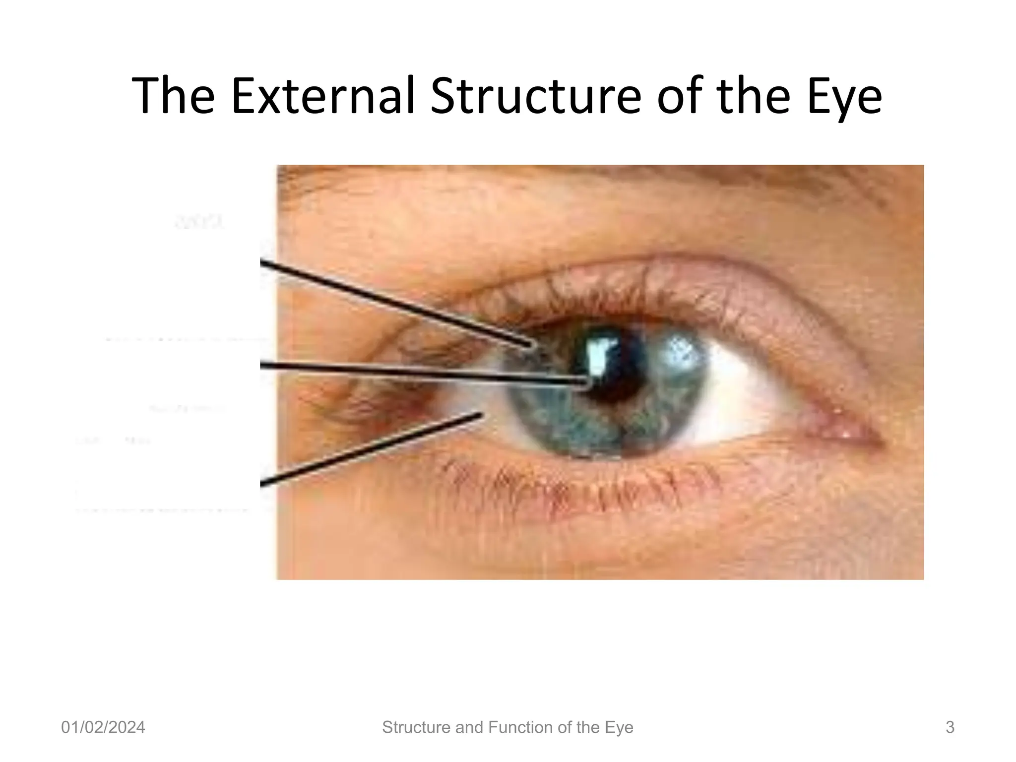 eye_structure_and_function_science__8.ppt