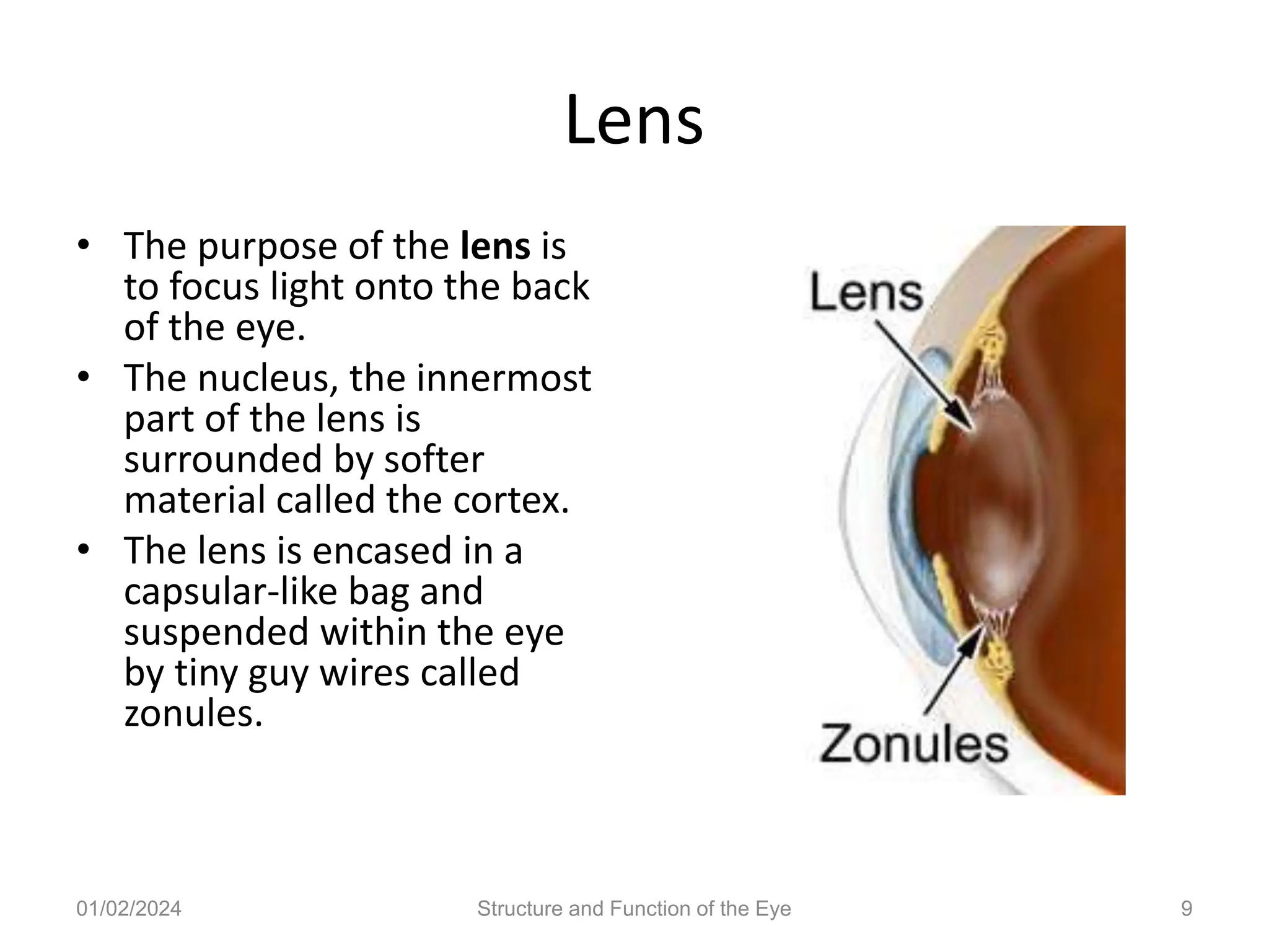 eye_structure_and_function_science__8.ppt