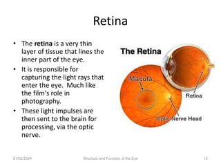 eye_structure_and_function_science__8.ppt