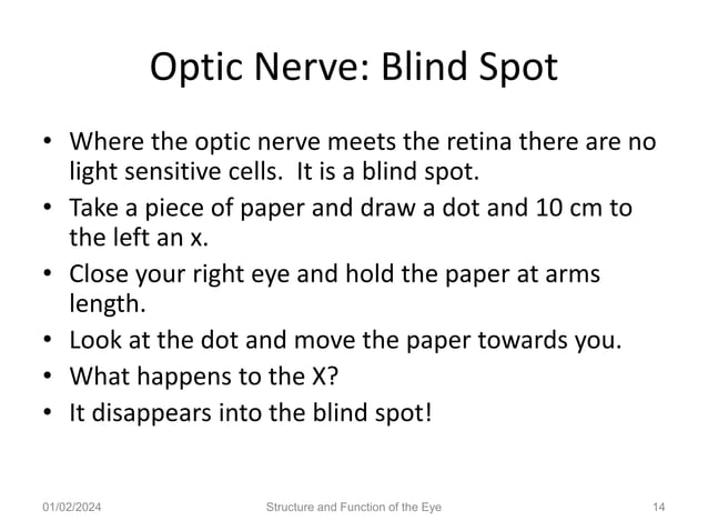eye_structure_and_function_science__8.ppt