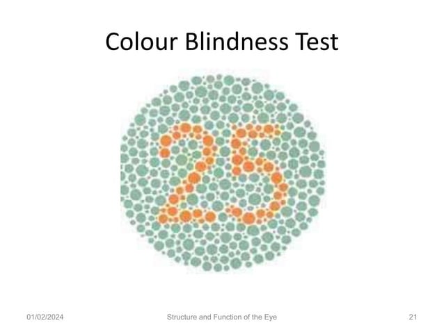 eye_structure_and_function_science__8.ppt