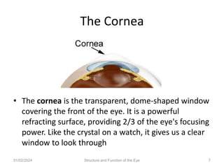 eye_structure_and_function_science__8.ppt