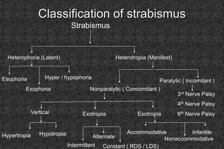 Eye Diseases | PDF
