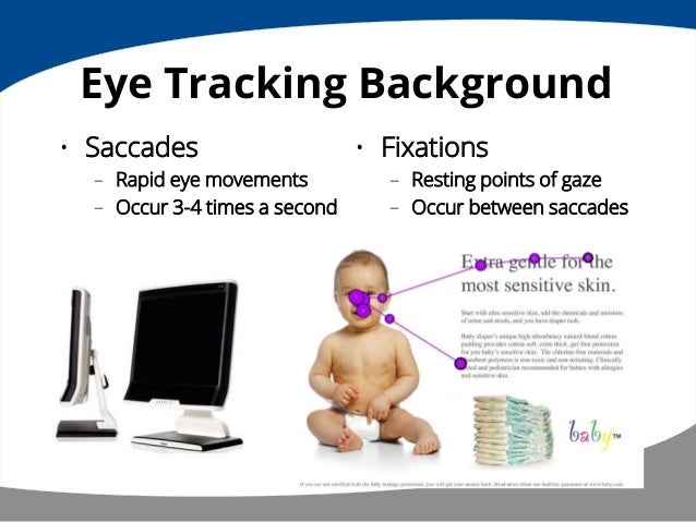 Guru Eye Tracking Experiment