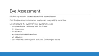 Eye & Vision Assesment | PPTX | Eye and Vision Conditions | Diseases ...