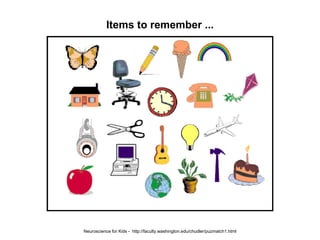 Eye Witness basics | PPT