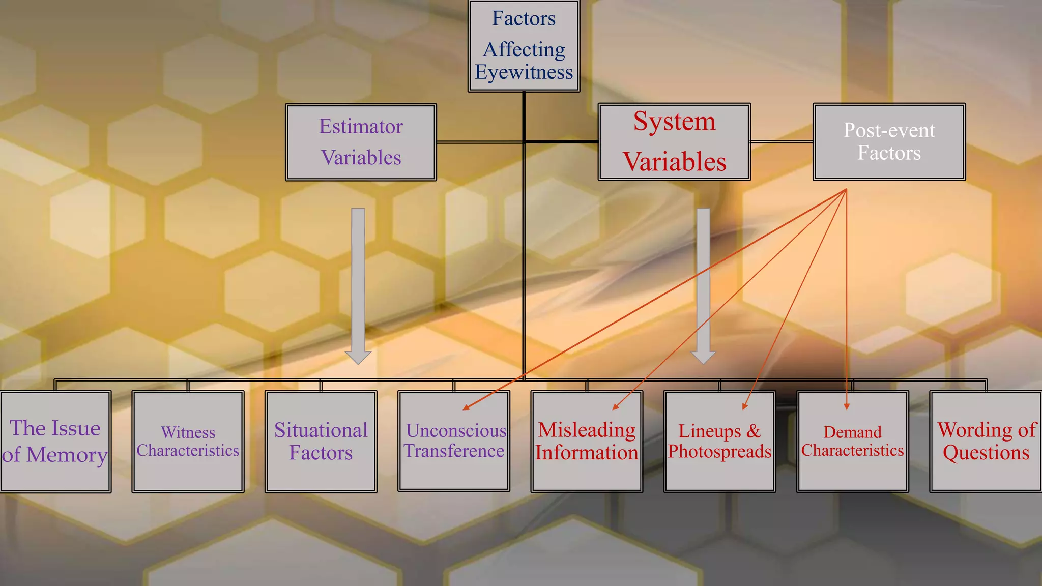 Eyewitness identification role of forensic psychologist abrar riaz | PPT