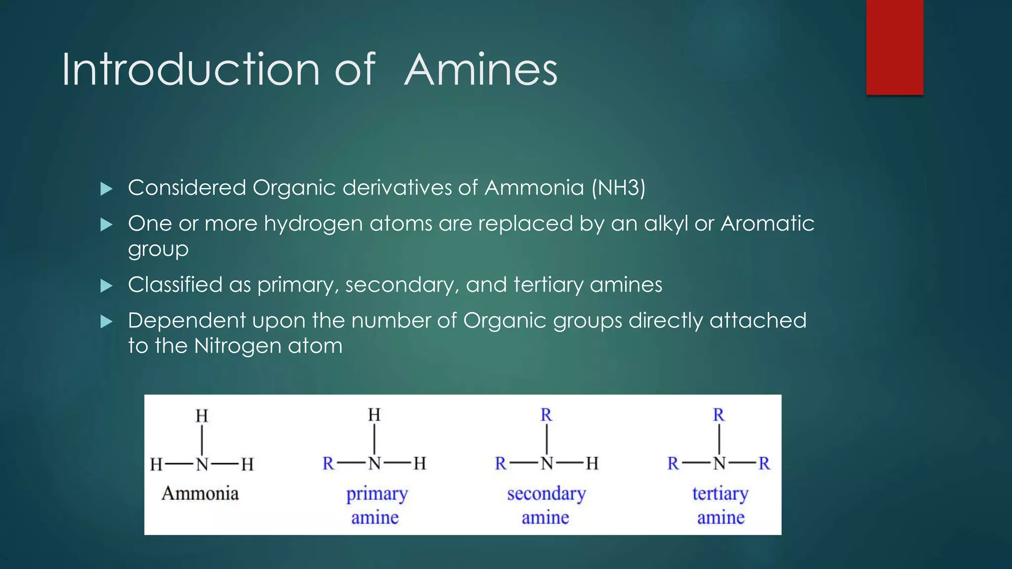 ALL ABOUT AMINES ! (chemistry) | PPTX | Chemistry | Science