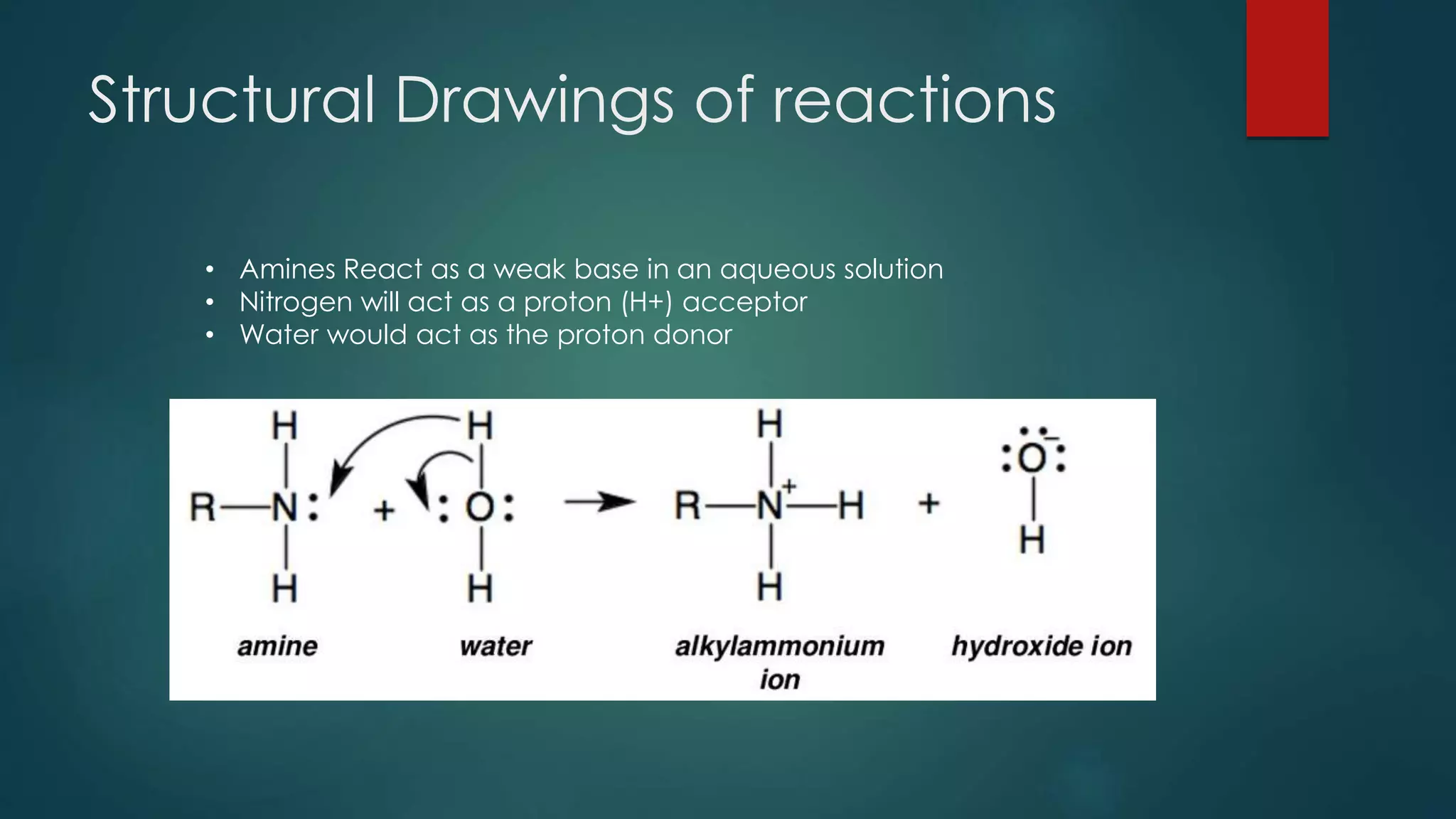 ALL ABOUT AMINES ! (chemistry) | PPTX
