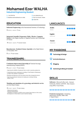 Mohamed Ezer resume | PDF