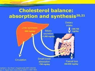 Ezetimibe And Lipids - Dr Vivek Baliga Reviews | PPT