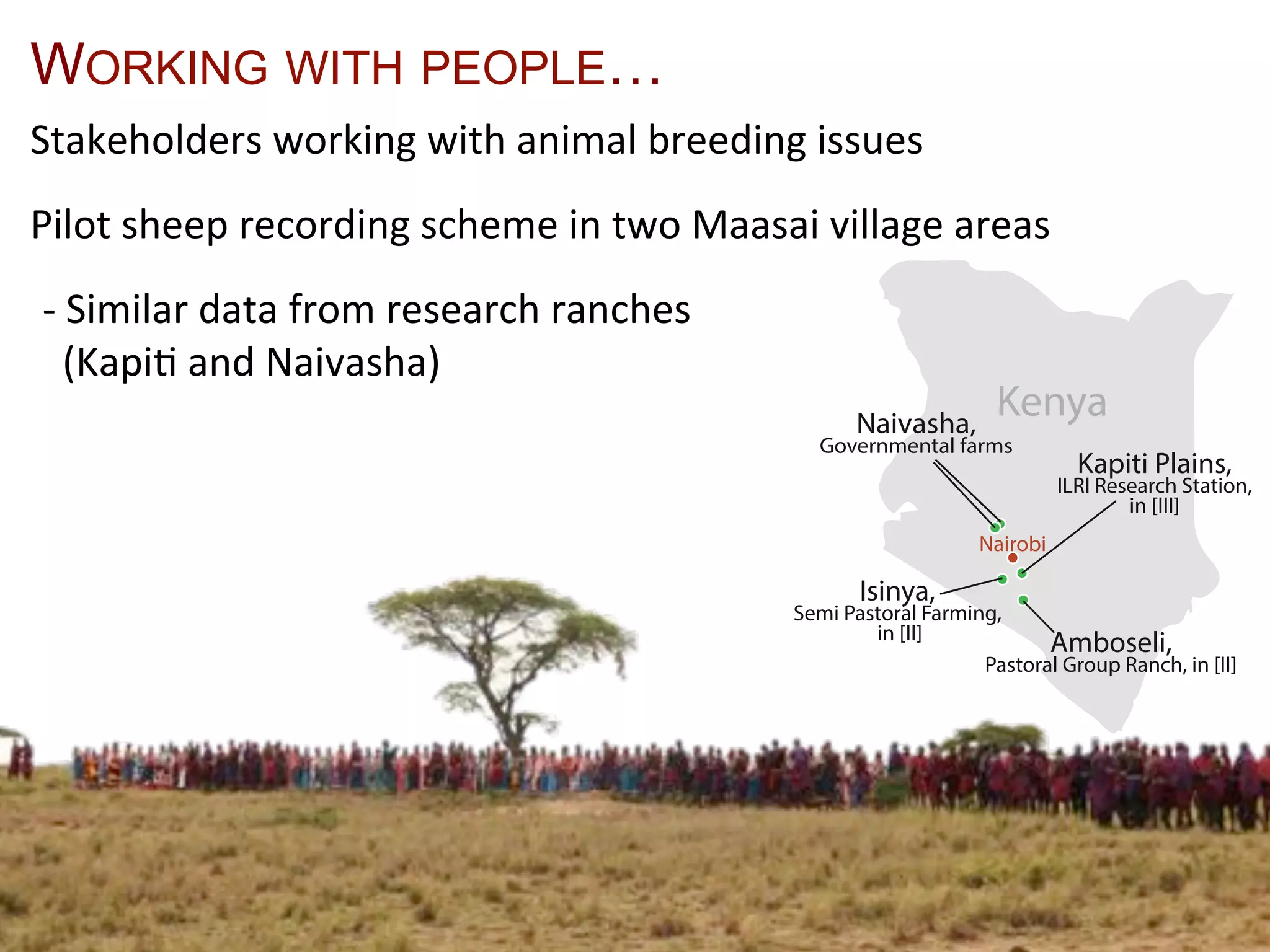 Breeding Programme and Infrastructure - The Case of Red Maasai Sheep in ...