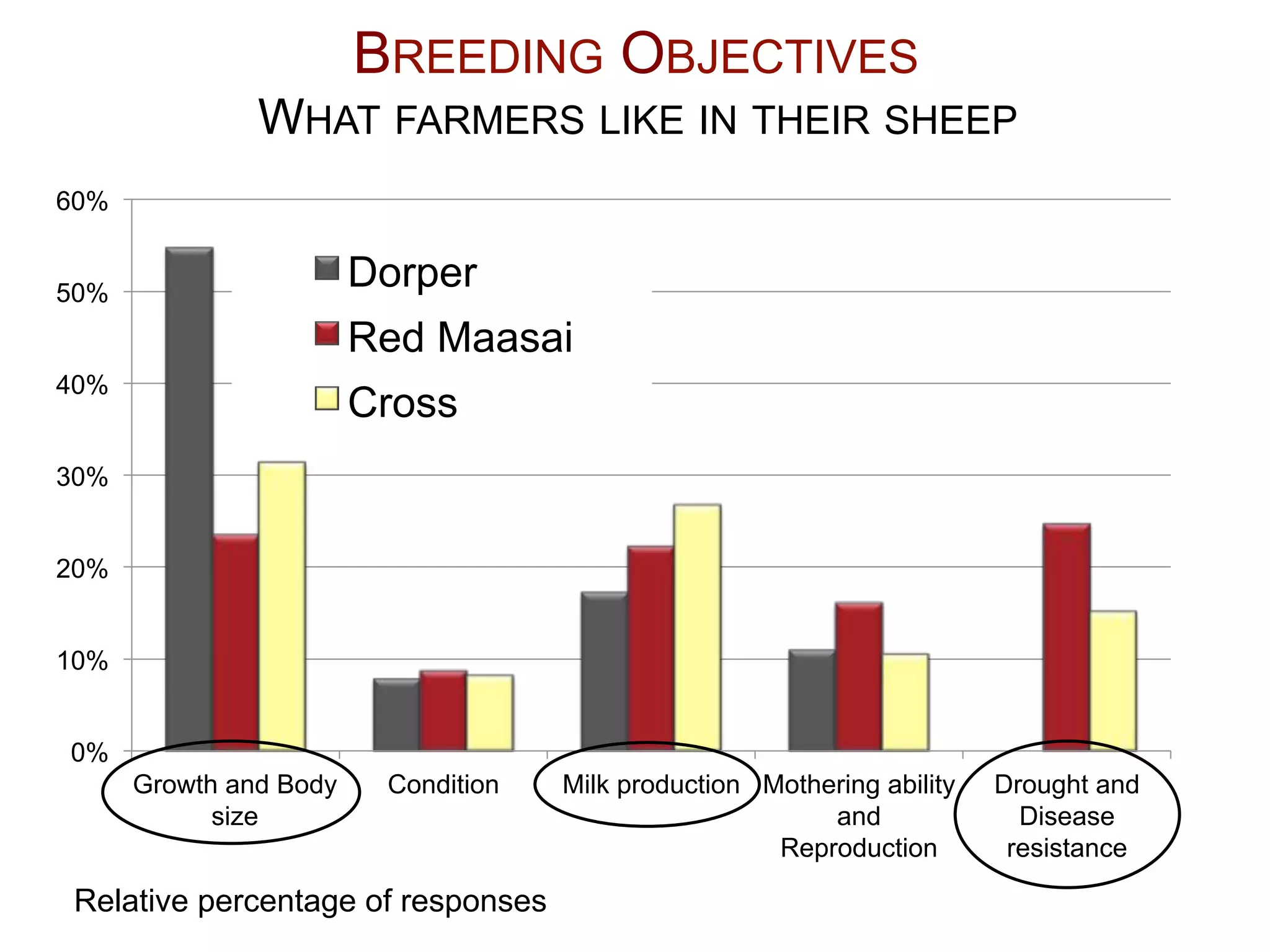 Breeding Programme and Infrastructure - The Case of Red Maasai Sheep in ...