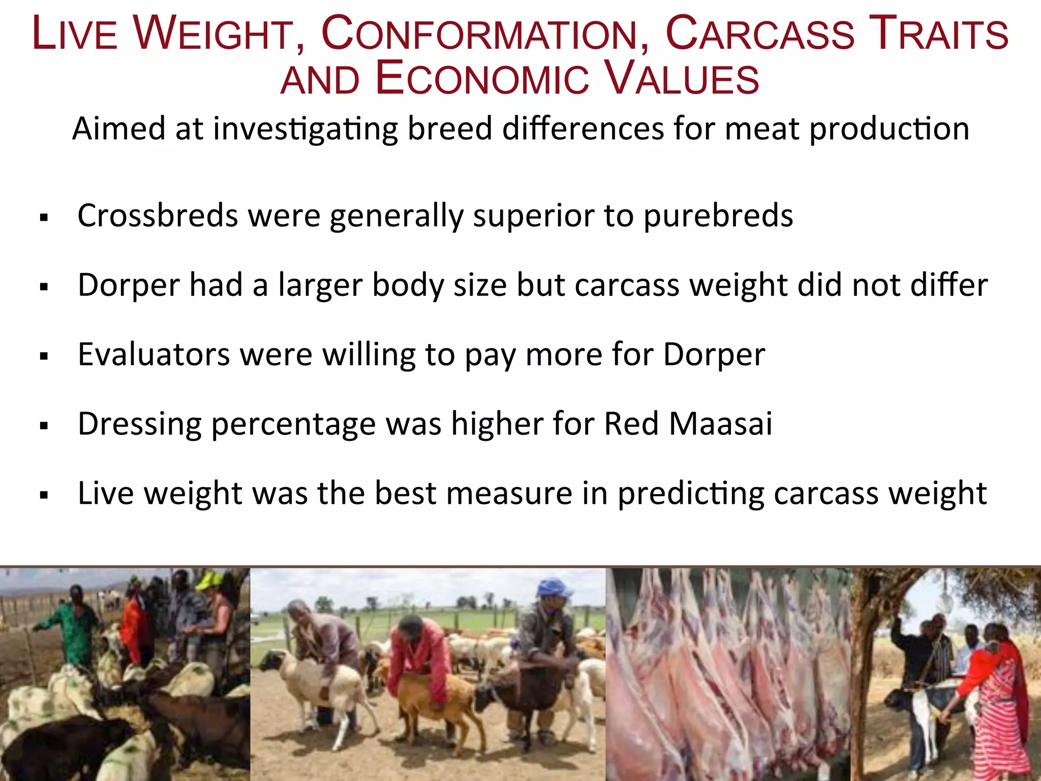 Breeding Programme and Infrastructure - The Case of Red Maasai Sheep in ...