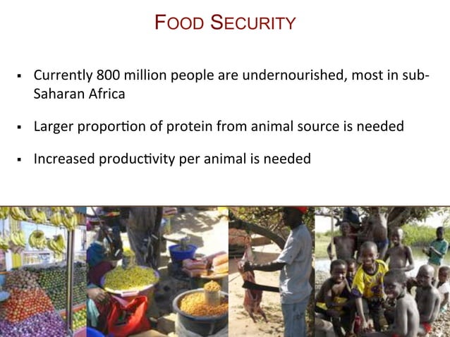 Breeding Programme and Infrastructure - The Case of Red Maasai Sheep in ...