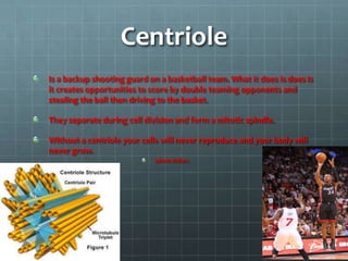 Cell project Ezra najman | PPT