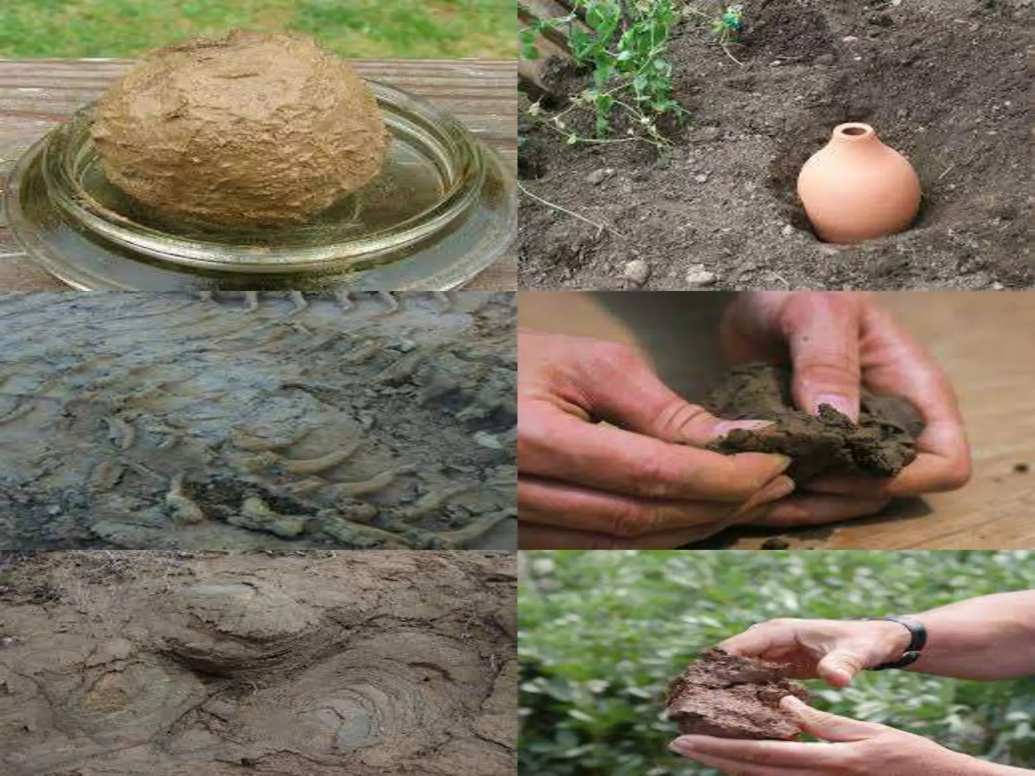 (classification of soil) | PPT