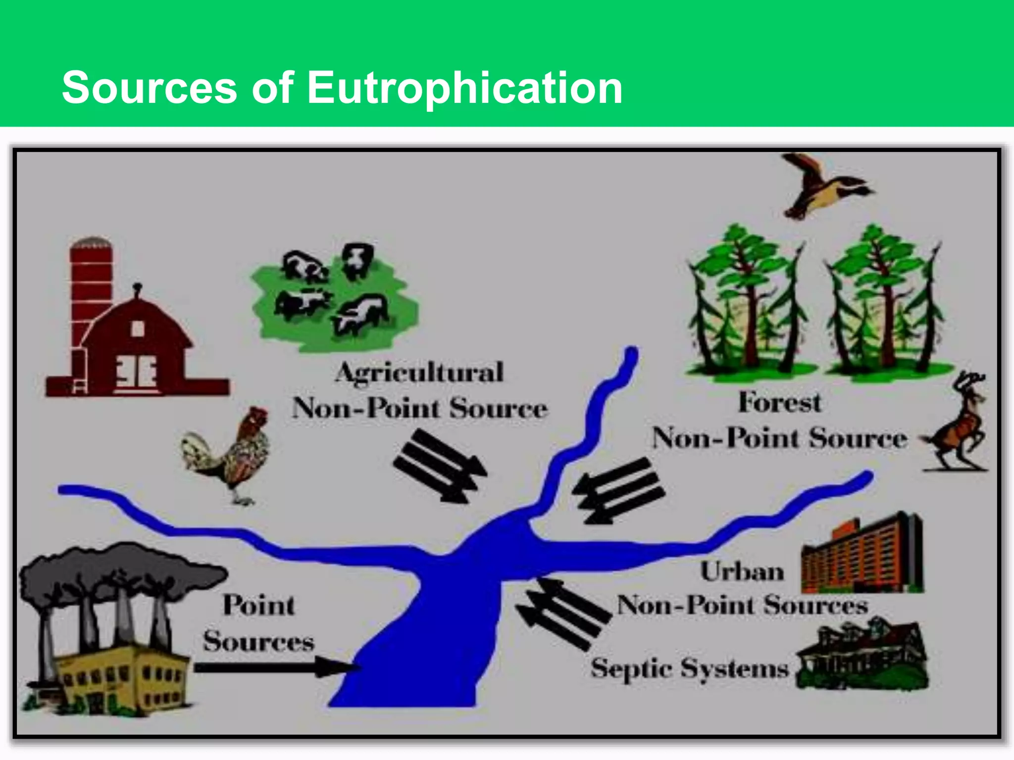 Eutrophication & the Process of Eutrophication | PPTX