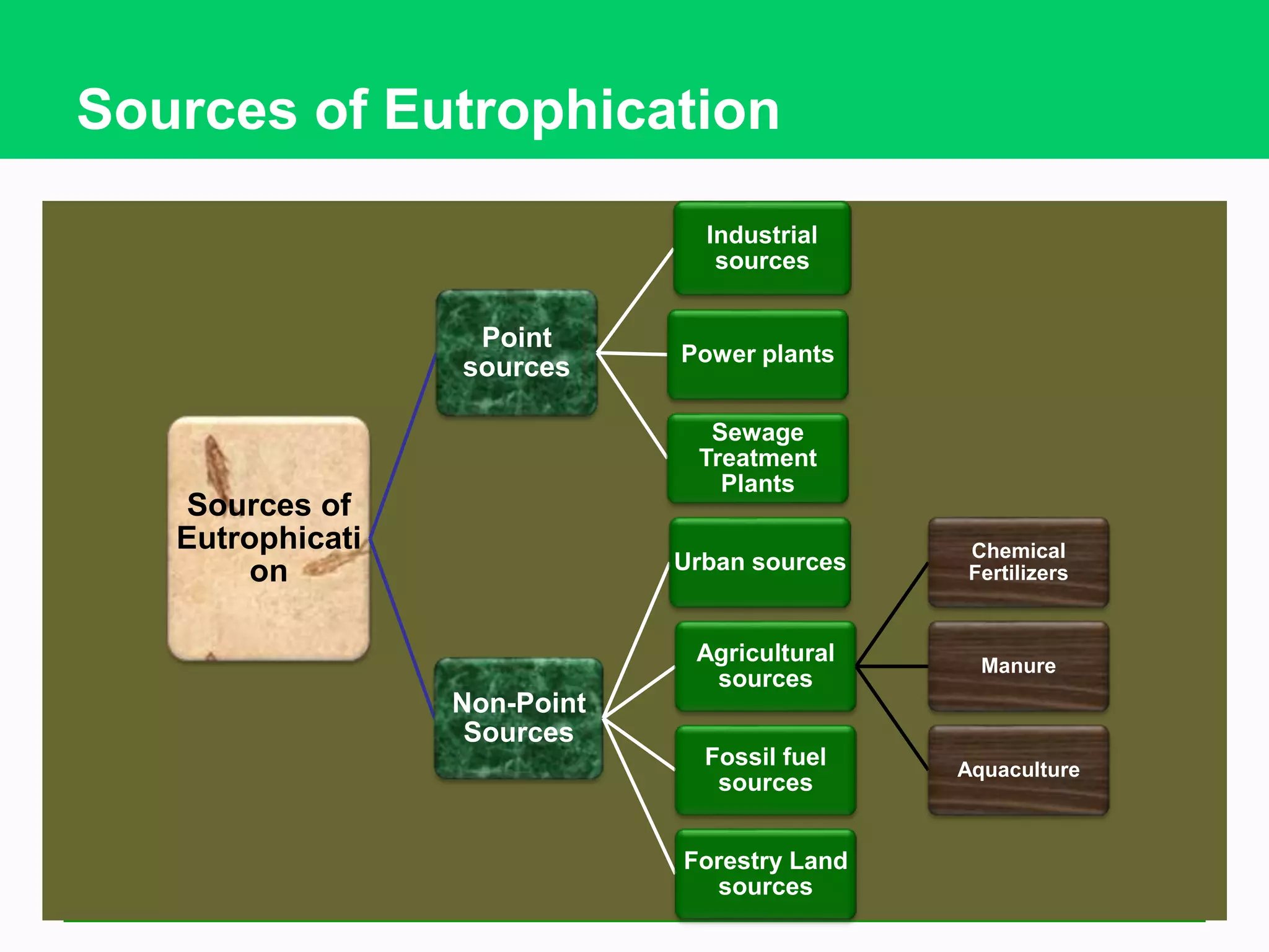 Eutrophication & the Process of Eutrophication | PPTX