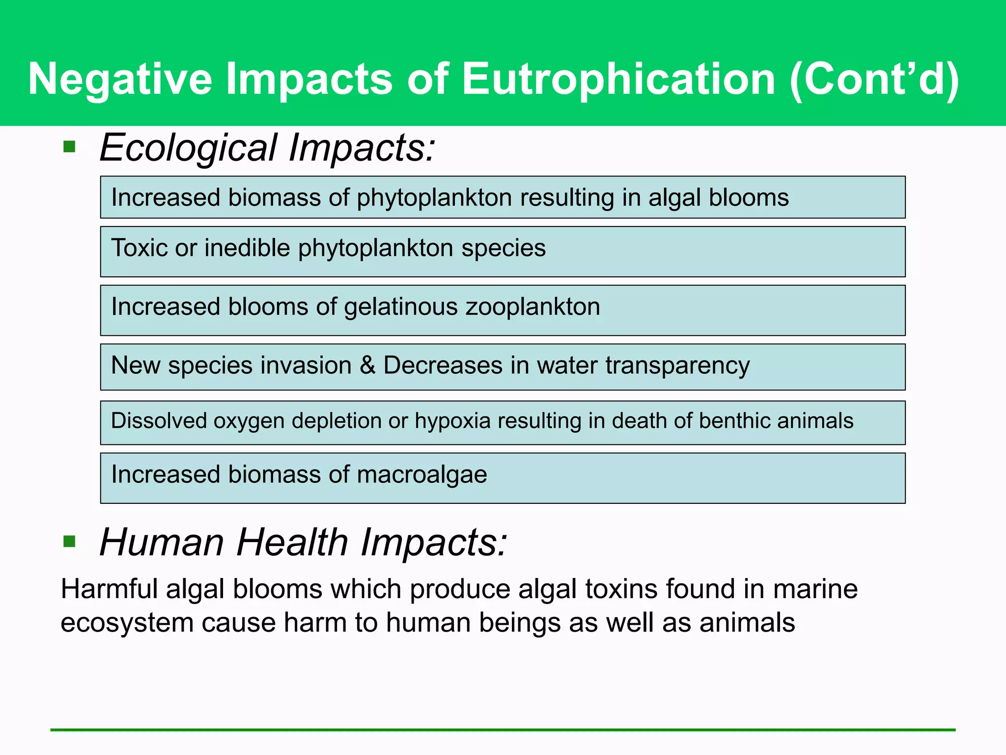 Eutrophication & the Process of Eutrophication | PPTX