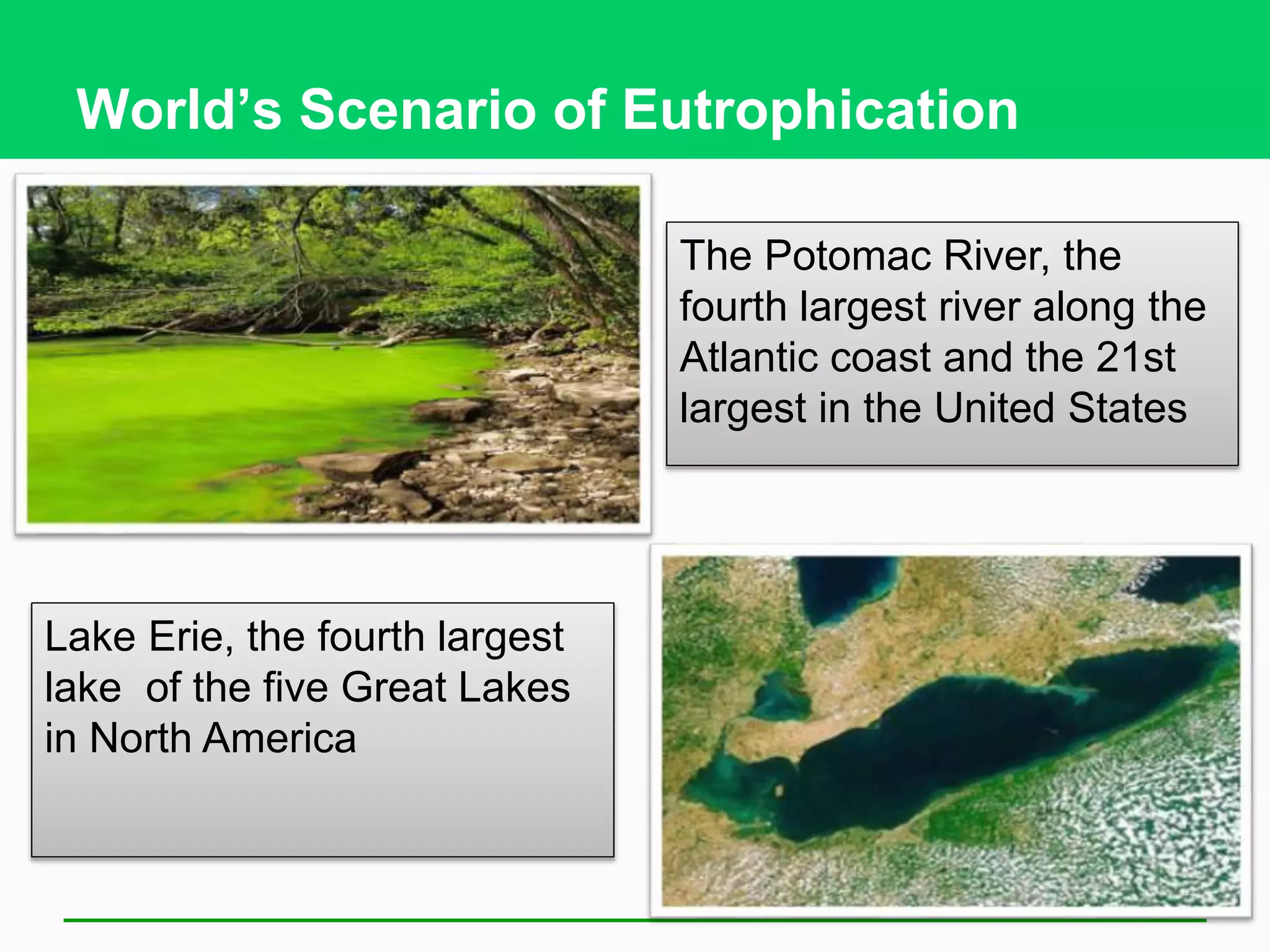 Eutrophication & the Process of Eutrophication | PPTX
