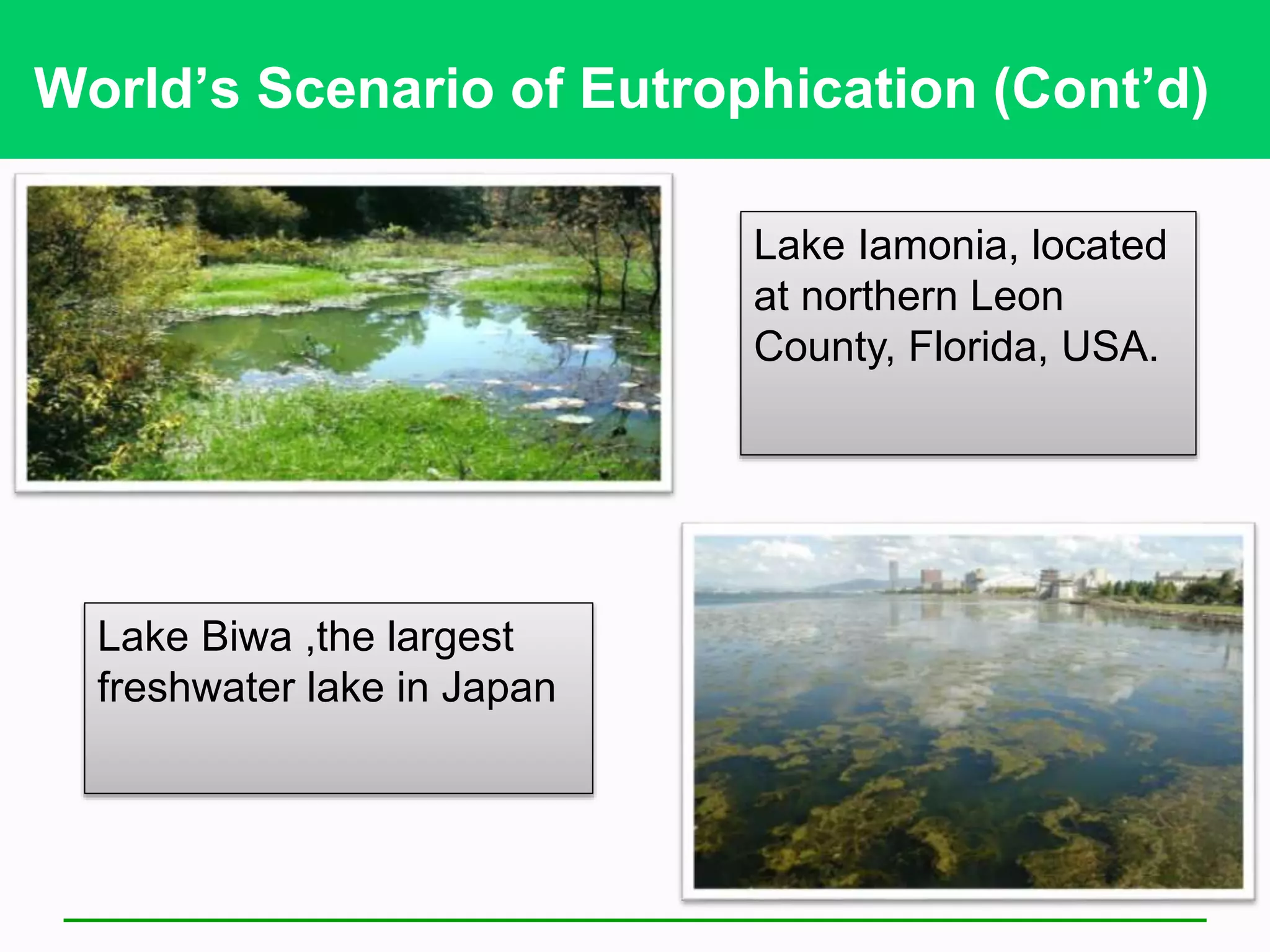 Eutrophication & the Process of Eutrophication | PPTX