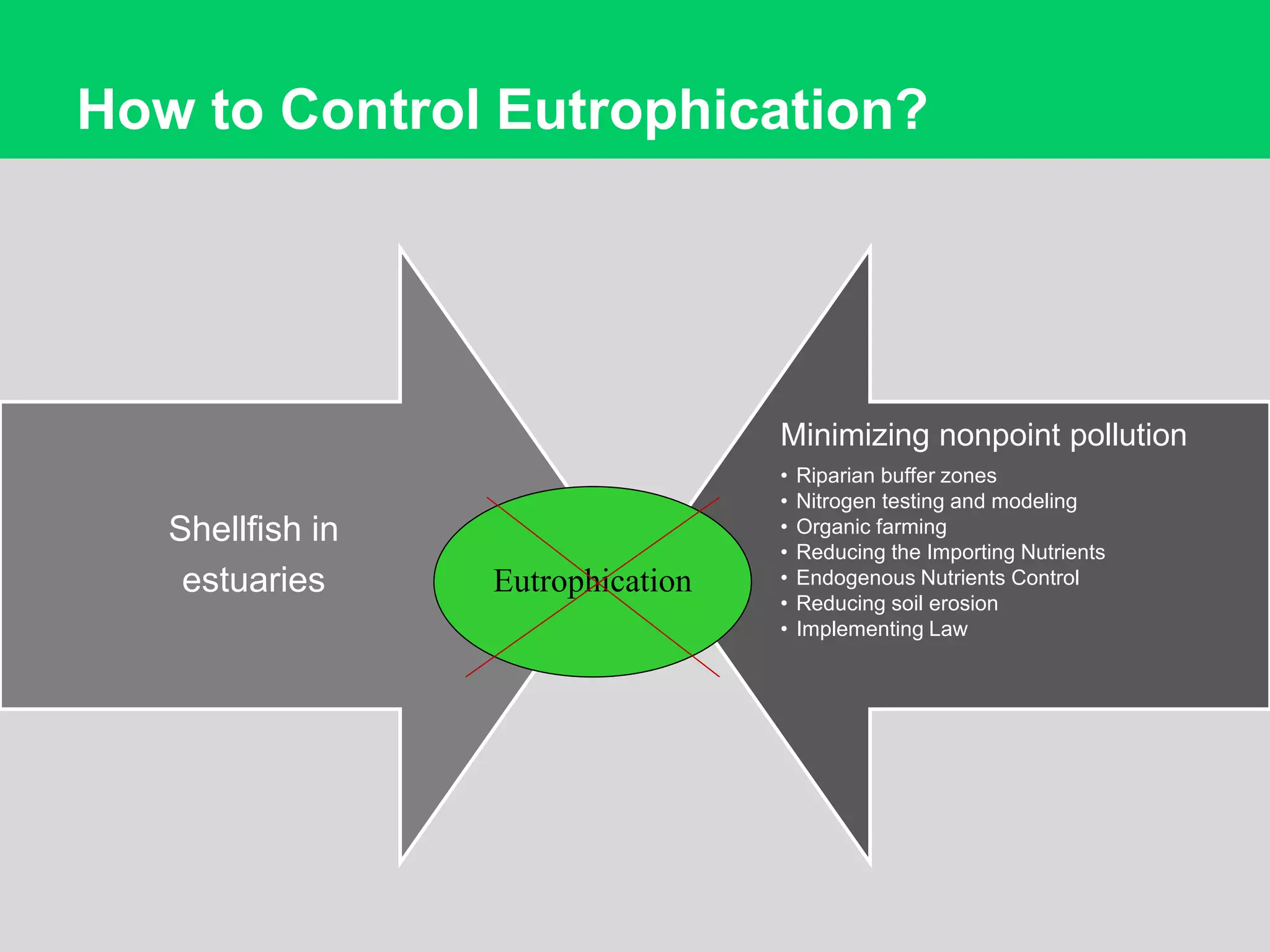 Eutrophication & the Process of Eutrophication | PPTX
