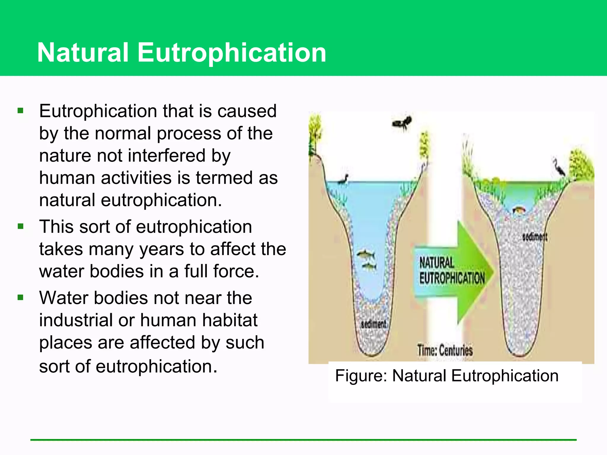 Eutrophication & the Process of Eutrophication | PPTX