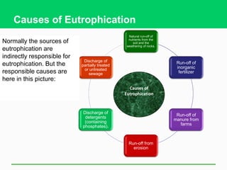 Eutrophication & the Process of Eutrophication | PPTX
