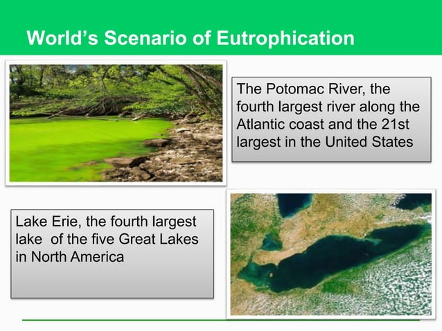 Eutrophication & the Process of Eutrophication | PPT