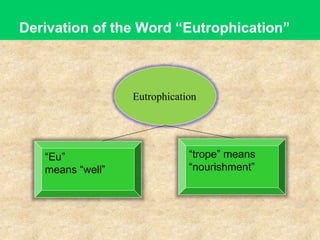 Eutrophication & the Process of Eutrophication | PPTX