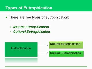 Eutrophication & the Process of Eutrophication | PPTX