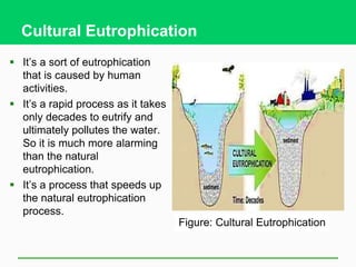 Eutrophication & the Process of Eutrophication | PPTX